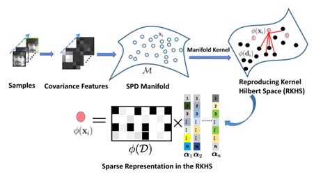 Yuwei Wu 武玉伟 Homepage