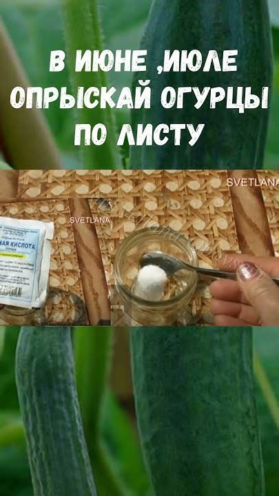 БОРНАЯ +..? ДЛЯ ОГУРЦОВ,ТОМАТОВ. ДЛЯ УРОЖАЯ И ОТ ГРИБКОВЫХ ЗАБОЛЕВАНИЙ# ...