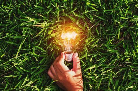 5 Razones Para Dar De Alta Una Tarifa De Luz Sostenible