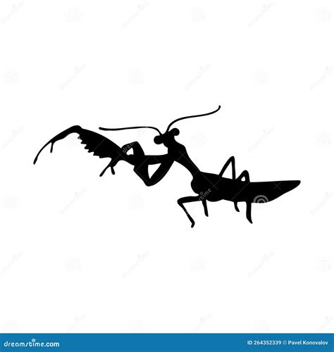 Mantis Silhouette Stock Vector Illustration Of Insect 264352339