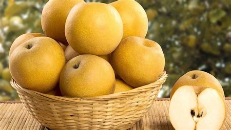 Các Loại Lê Cách Chọn Lê Ngon Quả Lê Bảo Quản được Bao Lâu