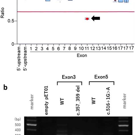 Genetic Analysis Of Variants In Addition To Sequencing A Detection