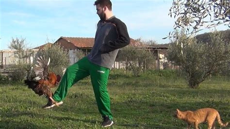 ΚΛΑΔΕΜΑ με ΚΟΚΟΡΟΜΑΧΙΑ Youtube