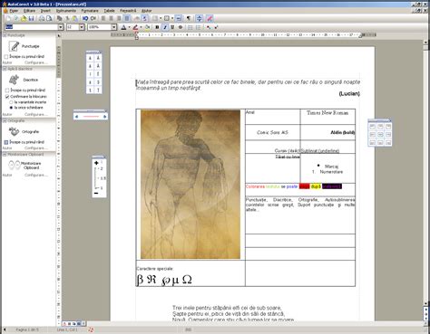 Applications With TRichView AutoCorect