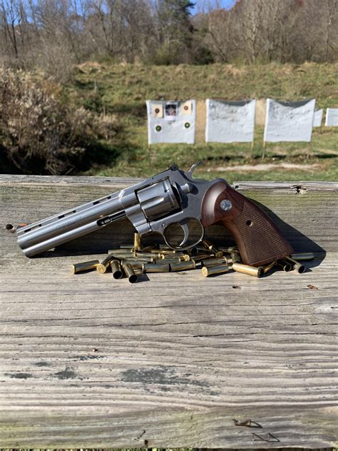 First Time Shooting My New Python Rguns