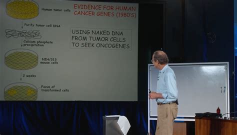 26 Discovery Of Oncogenes World Science U
