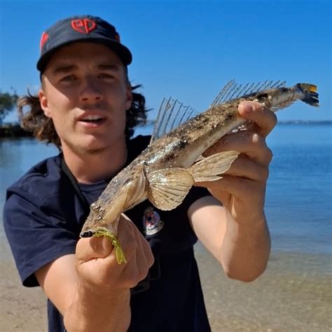 Aussie Brock Outdoors Youtube
