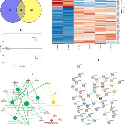 Proteomics Analysis Results Of The 54 Selected Differentially Expressed