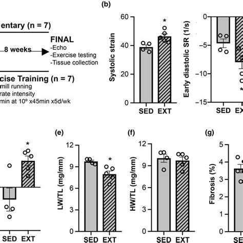 Aerobic Exercise Training Reverses Some Hfpef Phenotypes In Aged Male Download Scientific