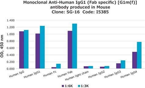 Human Cloning Graphs
