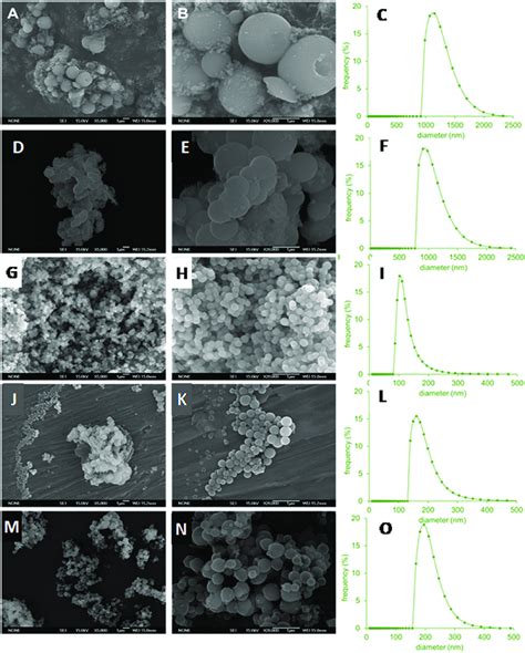 Sem Images And Corresponding Nanoparticle Size Distribution Of