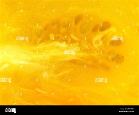 Macro Tomato Texture Very Close Up Tomato Texture Full Frame