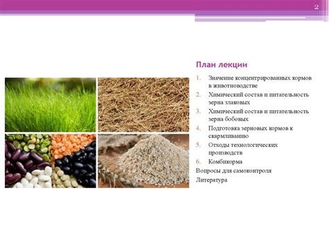 Концентрированные корма в животноводстве - презентация онлайн