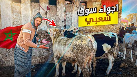 وثائقي جولة في سوق شعبي اسبوعي ️مأكولات الشارع في المغرب 🇲🇦 Youtube