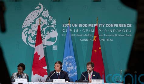Historic Biodiversity Agreement Reached At Un Conference Ireland Live