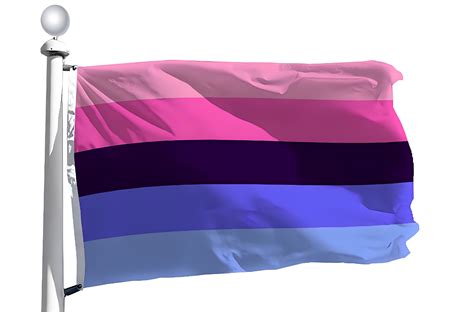 Omnisexual Flag Proud Lgbt 🏳️‍🌈