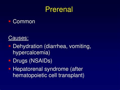 Renal Problems In The Haematology Patient Ppt Download