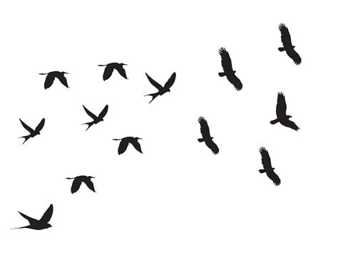 Fliegende Vogelsilhouetten Auf Isoliertem Hintergrund Vektor