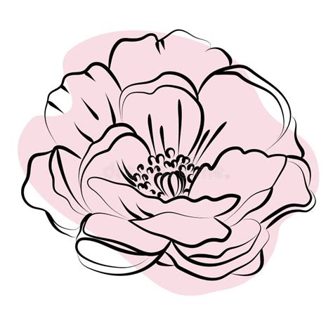 Elegant Outline Sketching Of Peony Leaf Vector Illustration Seamless