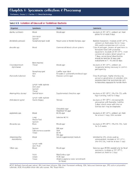 Chapter 6 Bacte Pdf Growth Medium Bacteria