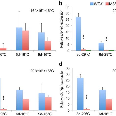 Comparison Of Bs And Abdominal Pigmentation In Wild Type And