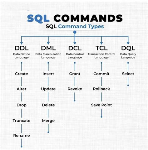 Sql Commands And Types Muhammad A