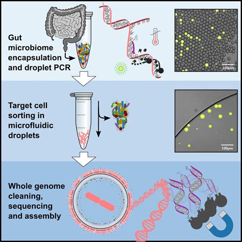Tobias Wenzel On Linkedin Genome Gut Microbiome Microfluidics