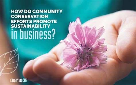 Community Conservation Efforts How It Relates To Sustainability