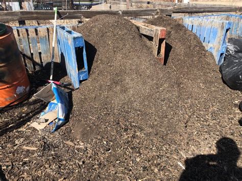 Winter Chicken Compost System Made It To The Garden Might Be Time To