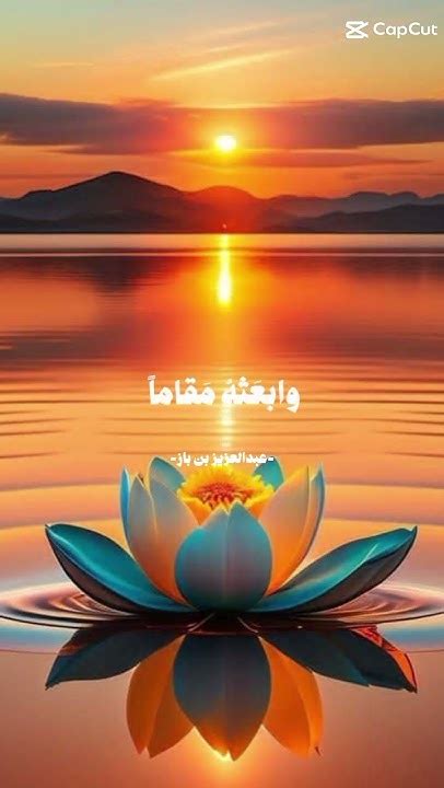 ابن باز رحمه الله Youtube