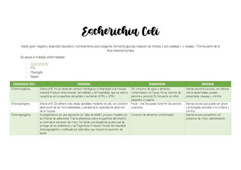Escherichia Coli Maca UDocz