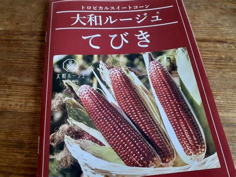 大和ルージュ植え付け 肉プル星人のブログ