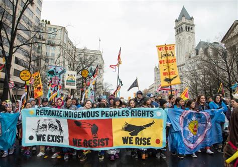 Indigenous Resilience Reclamation And Recognition V Removal