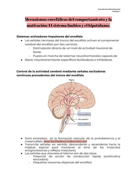 Cap 58 Mecanismos Encefálicos Del Comportamiento Y La Motivación El
