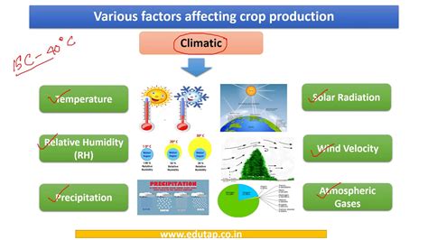 😀 what is factor production factors of production resources 2019 01 25