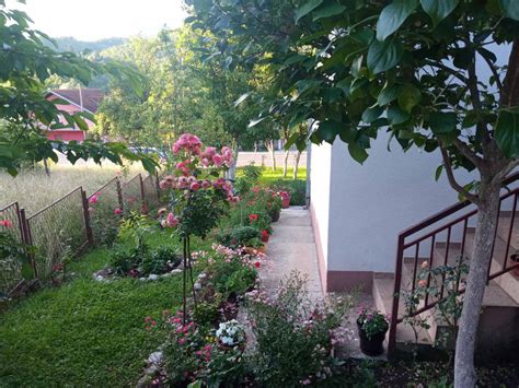 Dobitnica Nagrade Majska Ruža 2024” Je Fatima Hajdar