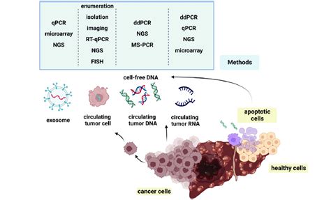 The Modalities Of Liquid Biopsy And Main Technologies Download Scientific Diagram