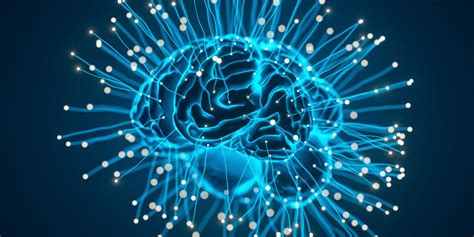Herbal Brain Boosters Natural Solutions For Improved Memory And Focus