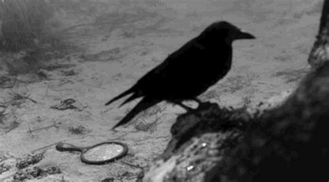 Raven Swallow S Pics Xhamster My Xxx Hot Girl Raven Swallow S Pics Xhamster My Xxx Hot Girl