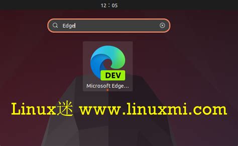 如何在ubuntu 2004上安装microsoft Edge浏览器 Linux迷