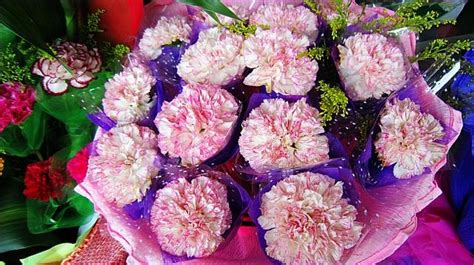 植物花卉圖集好補品康乃馨 每日頭條
