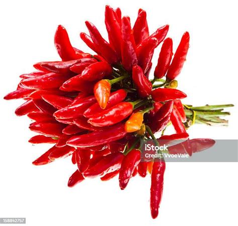 번치 신선한 작은가 아르카디아 페퍼론치니 Peperoncini 흰색 바탕에 그림자와 고추류에 대한 스톡 사진 및 기타 이미지
