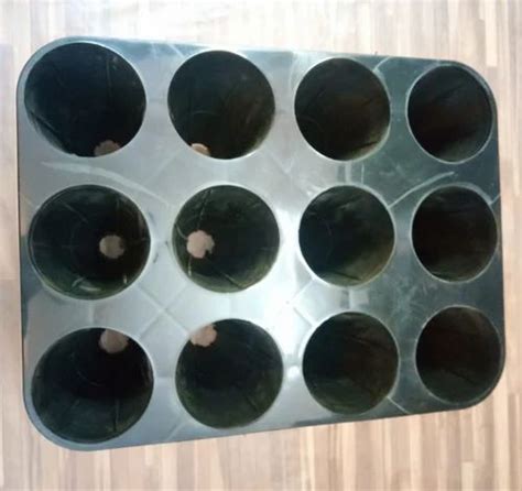 12 Cell Root Trainer Sizedimension 350 X 350mm At ₹ 75piece In Baraut