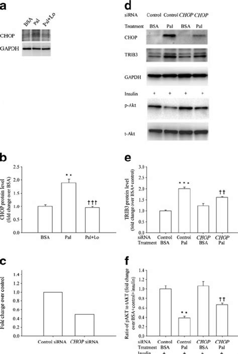 Fatty Acids Regulate Trib3 Expression Via Chop A Representative