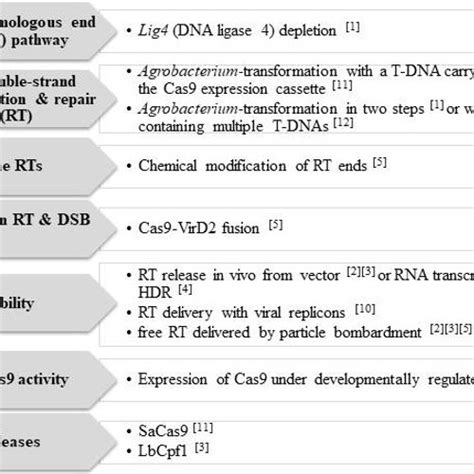 Strategies Implemented To Increase Crisprcas Induced Hdr Mediated Gene Download Scientific