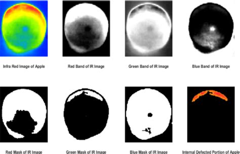 Segmentation Of Healthy Region Of Apple Sample 2 Download Scientific