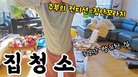 개나소나 다 한다는 집청소그것이 나의 일🎵나는 내가 빛나는 현모양처인 줄 알았어요몰랐어요내가 개똥 전업주부라는것을