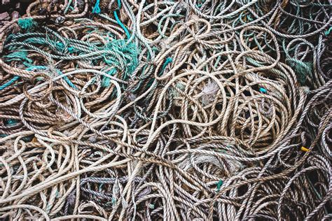 14 Questions To Ask When Evaluating Data Lineage Towards Data Science 14 Questions To Ask When Evaluating Data Lineage Towards Data Science
