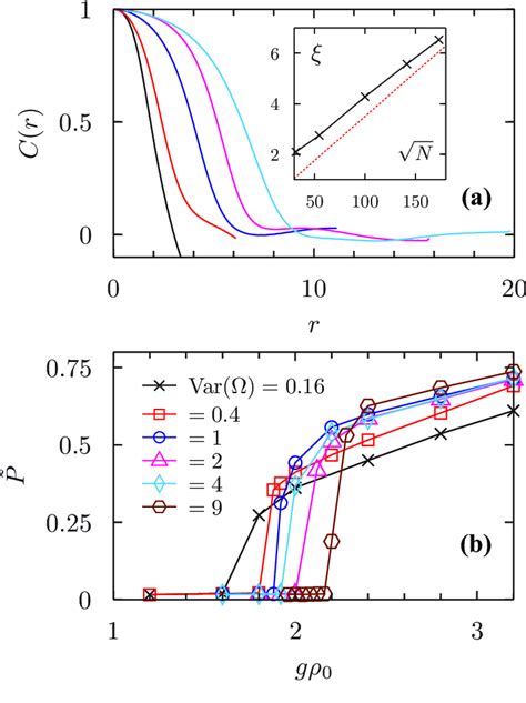 Chiral Phase A Spatial Correlations For Gρ 0 2 8 Var 2 And