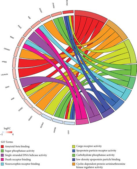 Functional Enrichment Analysis For Demrnas In The Cerna Network Ac